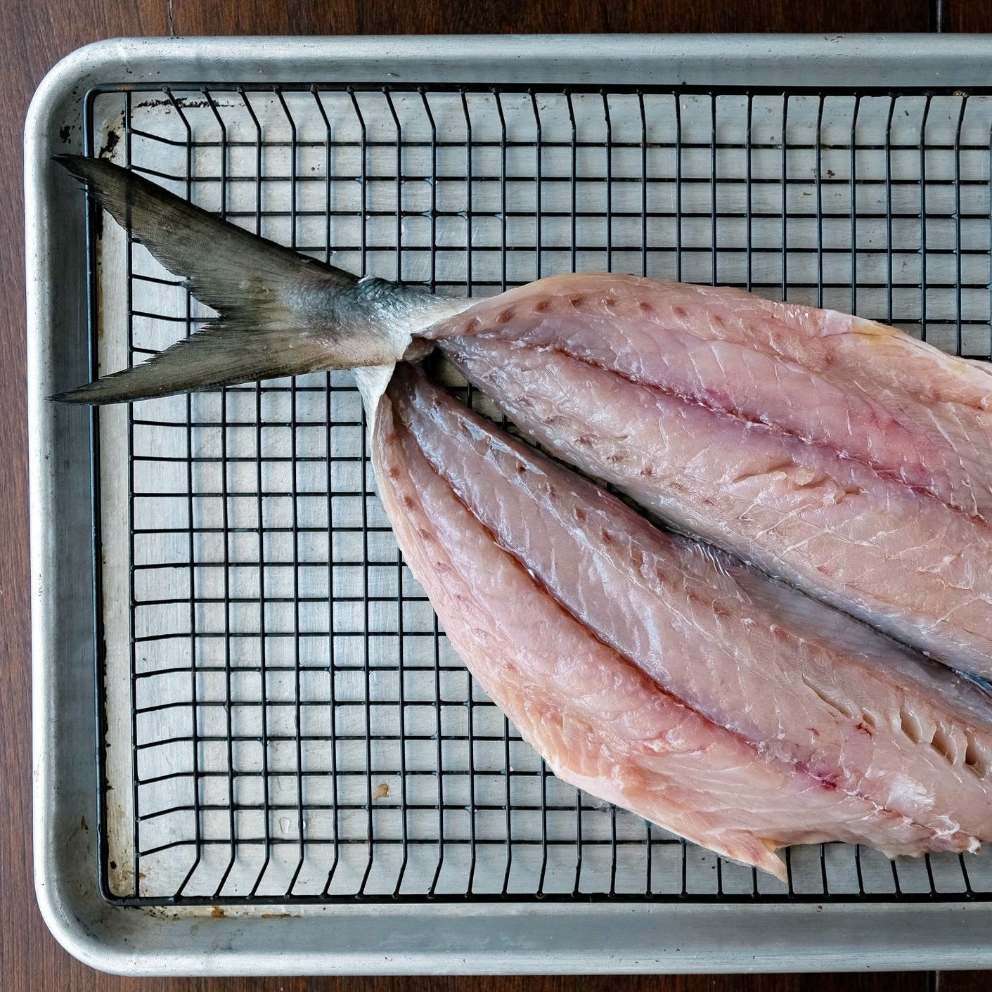 bluefish_raw.jpg?v=1696805095